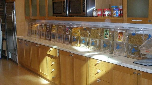 Inside Pixar Animation Studios | Amusing Planet